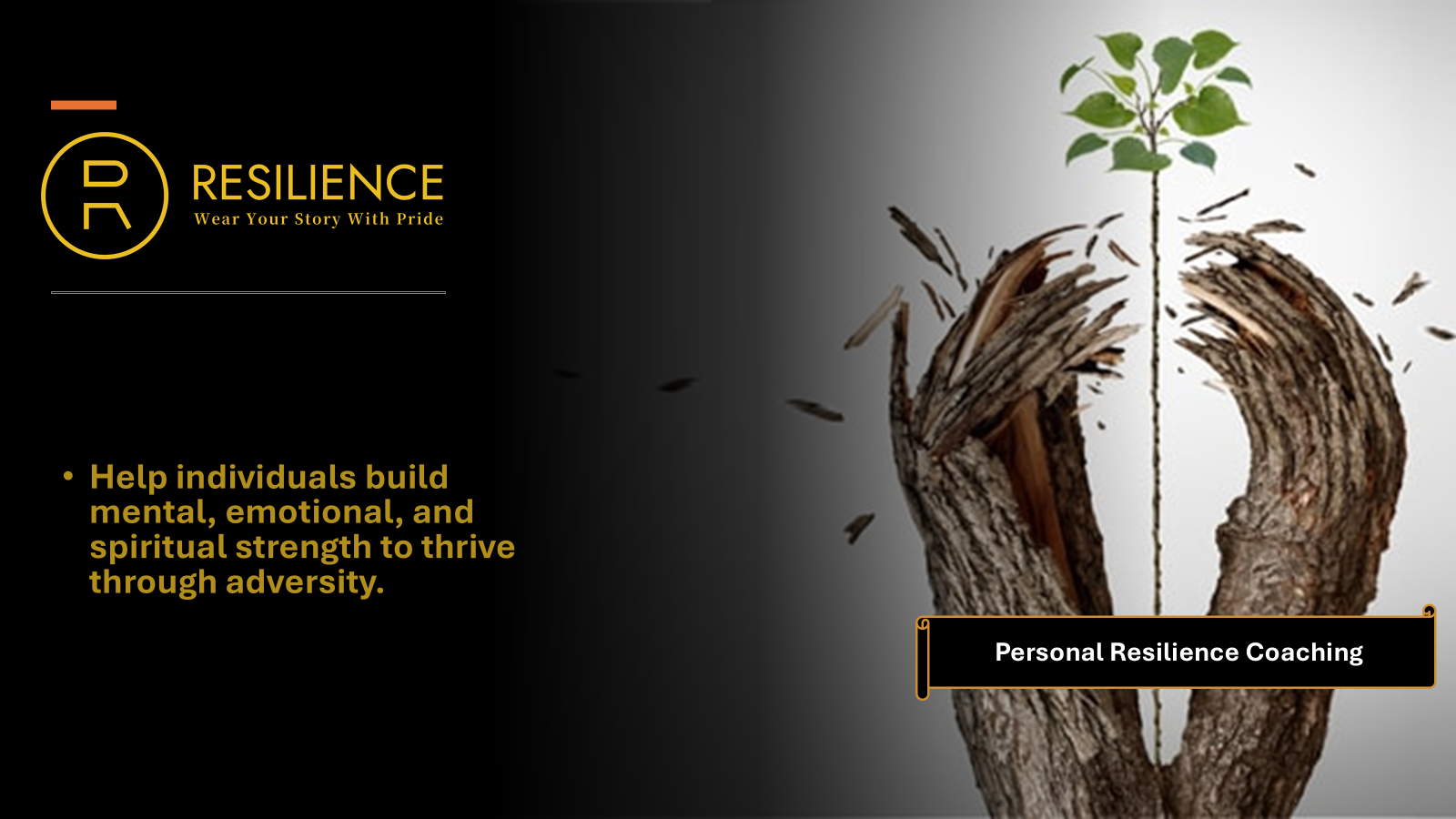 Resilience Shoes Shop | Resilience Books and Digital Product